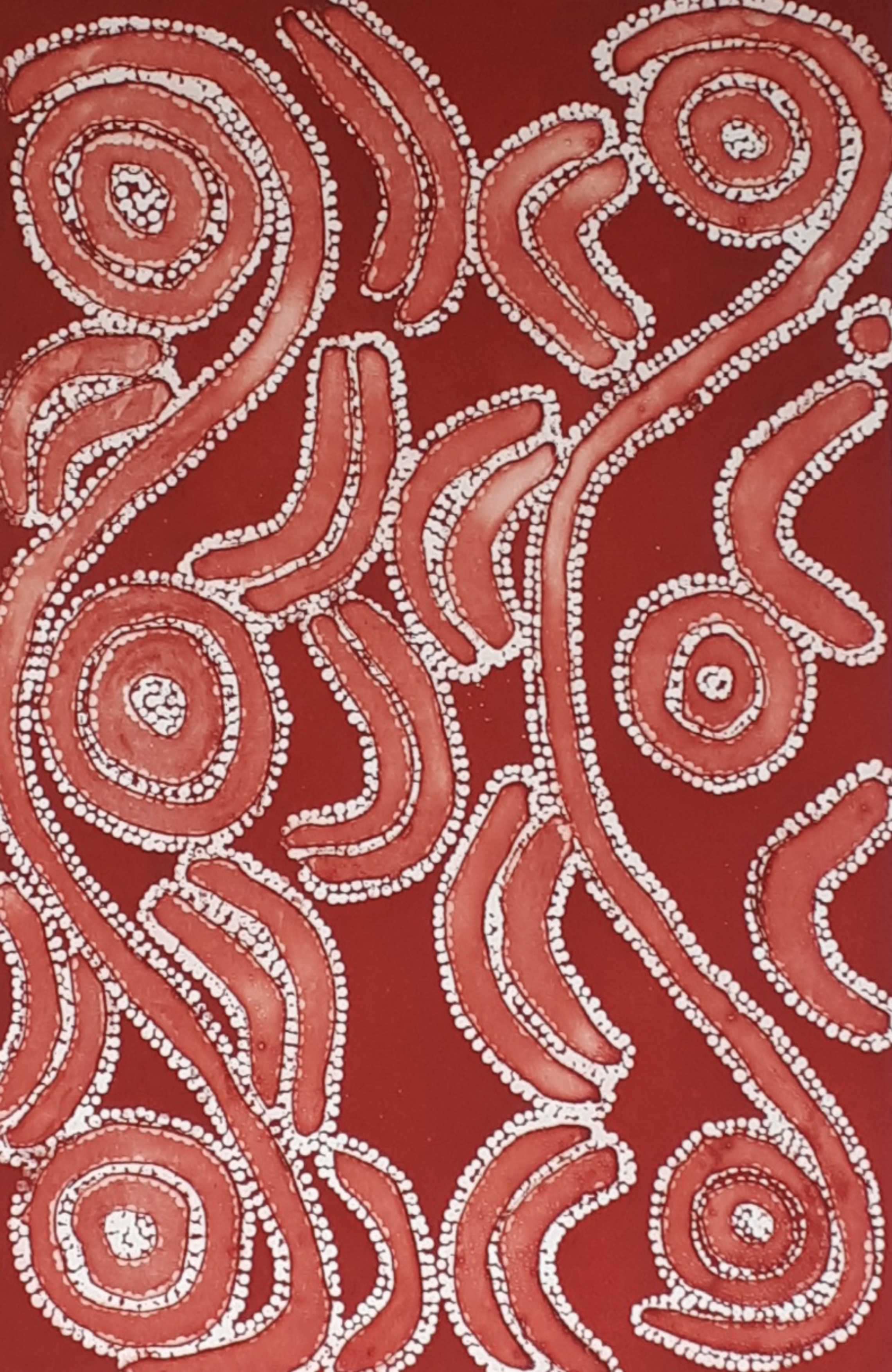 Exhibitions – Basil Hall Editions